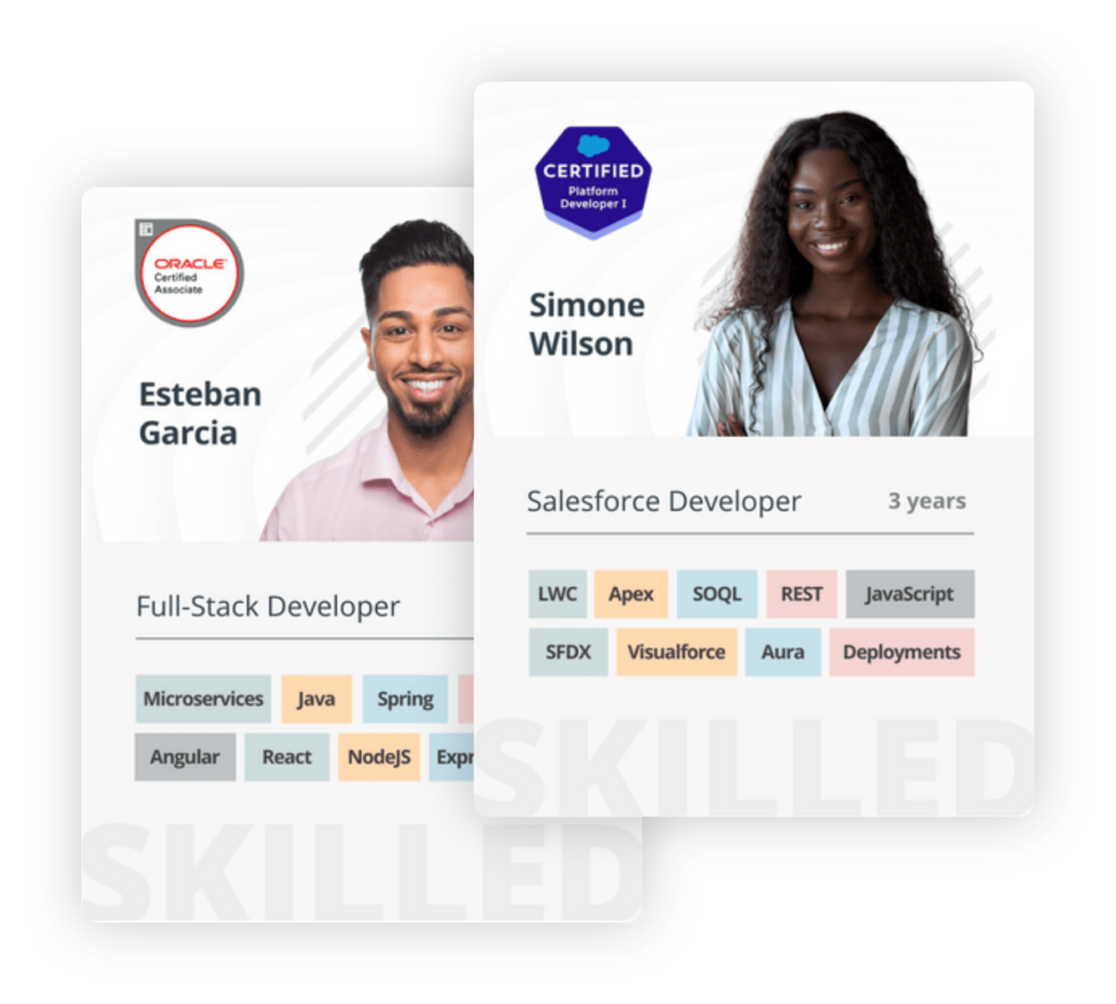 SkillStorm - Developer Program