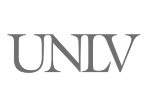 SkillStorm - Developer Program